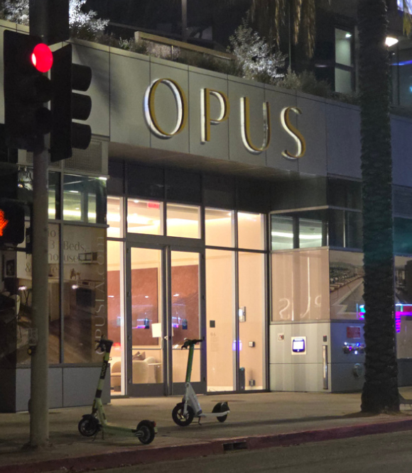 Opus Business Consulting – Leading from the front